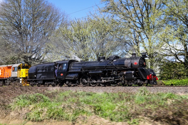 Nostalgic train rides and heritage rail adventures | Steam Inc